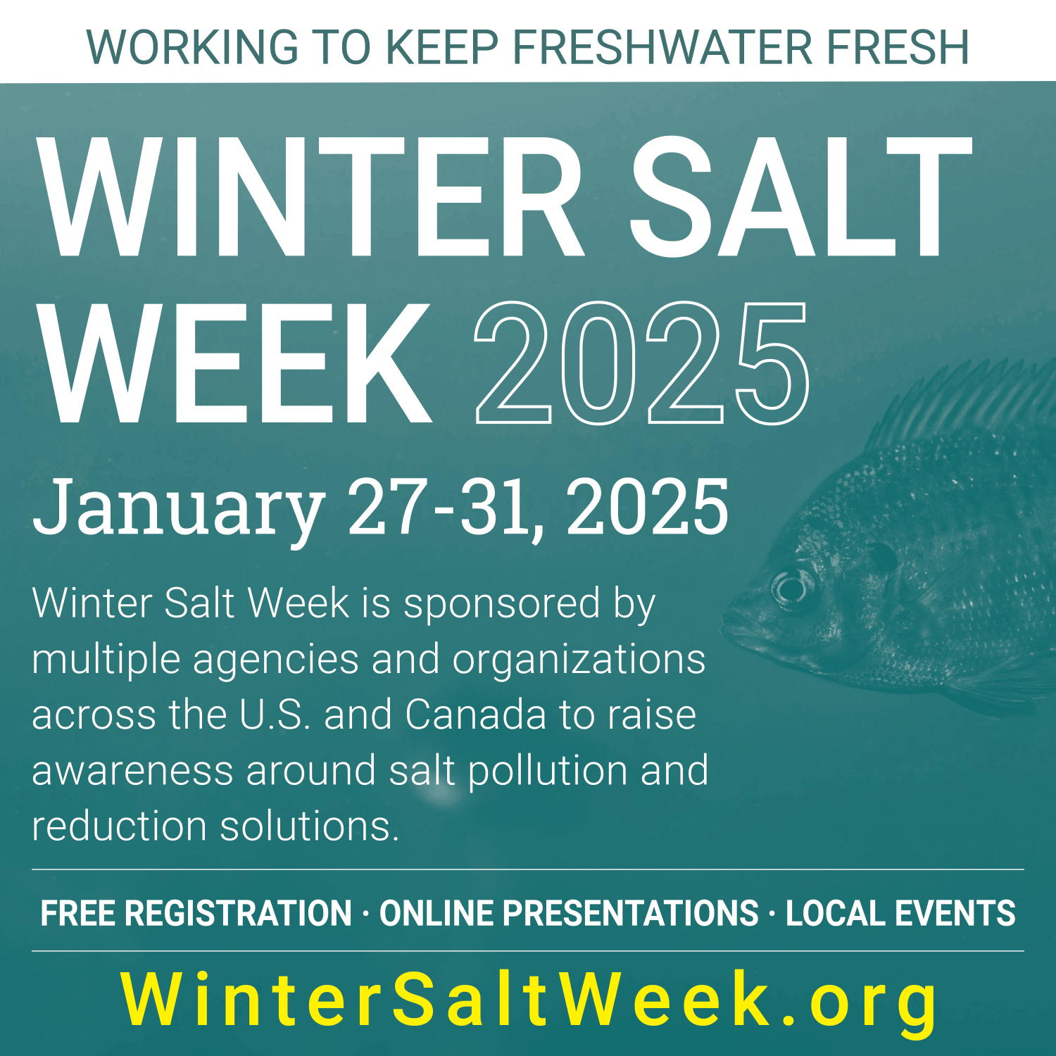 Balancing Safety and Sustainability: The Environmental Impact of Road Salt